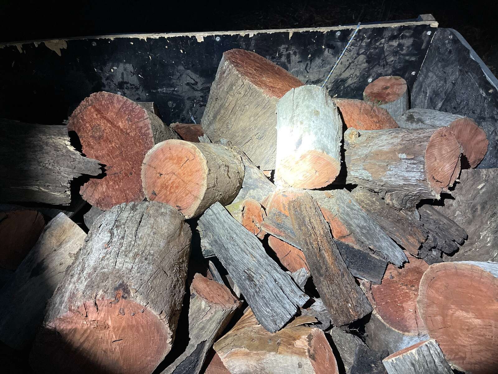 Hefty fine for illegal firewood collection | Country News