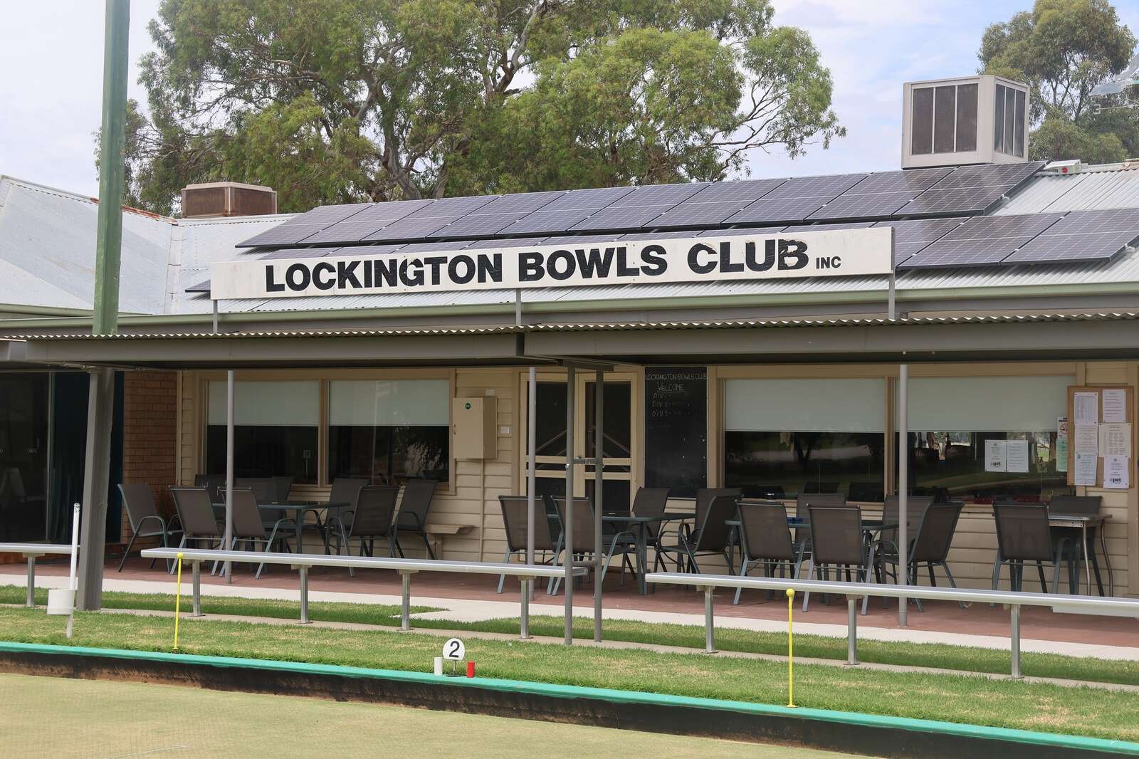 Lockington Bowls Club invaded by corellas | Campaspe News
