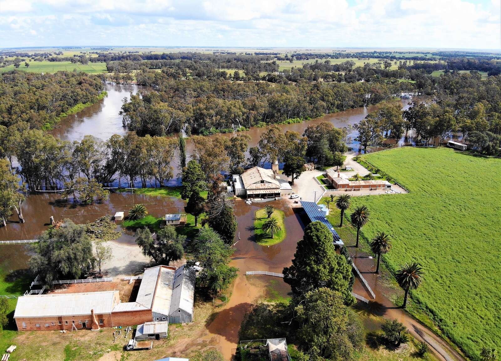 ‘No-one alive has seen anything like this’: Perricoota Station spared ...