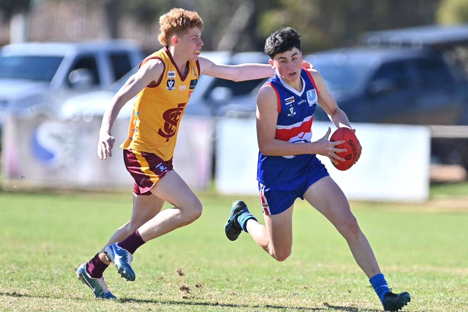 Gallery | Gold star for these Bears who are off to the big dance ...