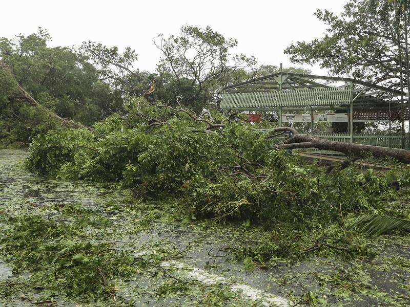 NT cyclone likely to spare Darwin | Kyabram Free Press
