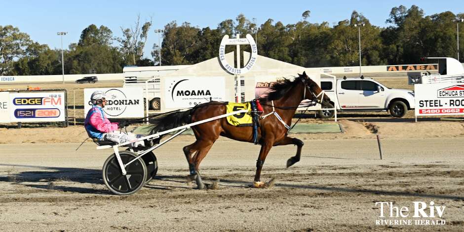 Echuca Harness Racing Club Pacing Cup a success | Riverine Herald