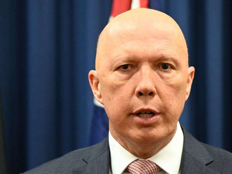 Dutton stands by embattled vice-president | Country News