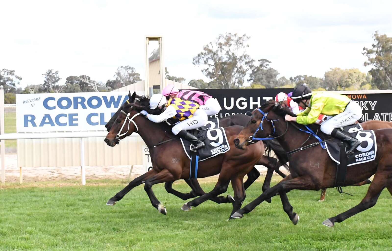 Experience the thrill of the Corowa Cup | Corowa Free Press