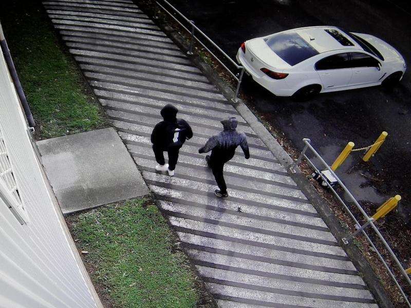 Park search over Sydney underworld murder | Country News