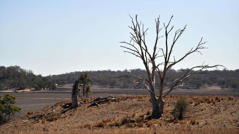 Greater Shepparton's surprise $1m in drought funding | Shepparton News