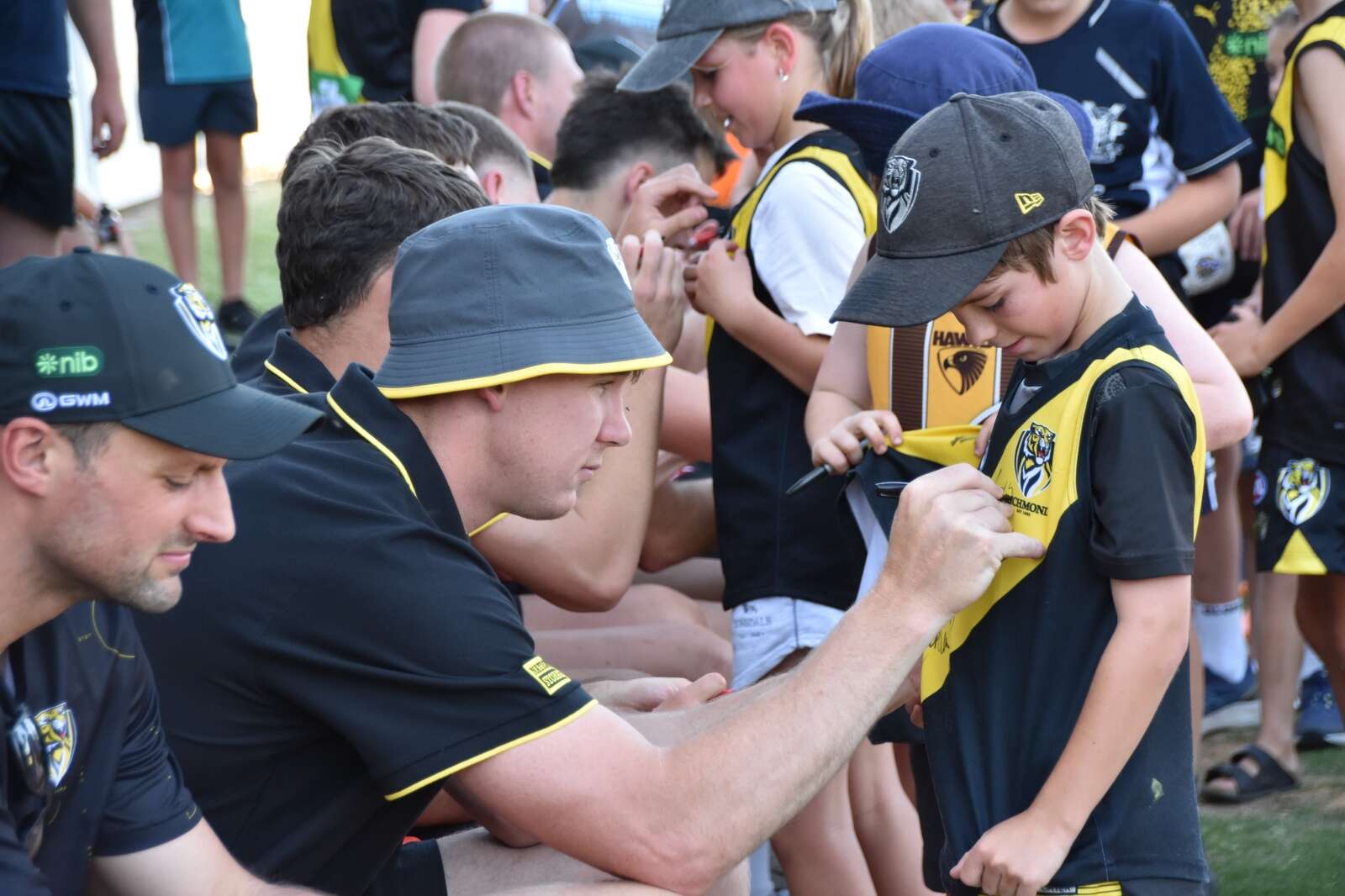Tiger fever takes over | Riverine Herald