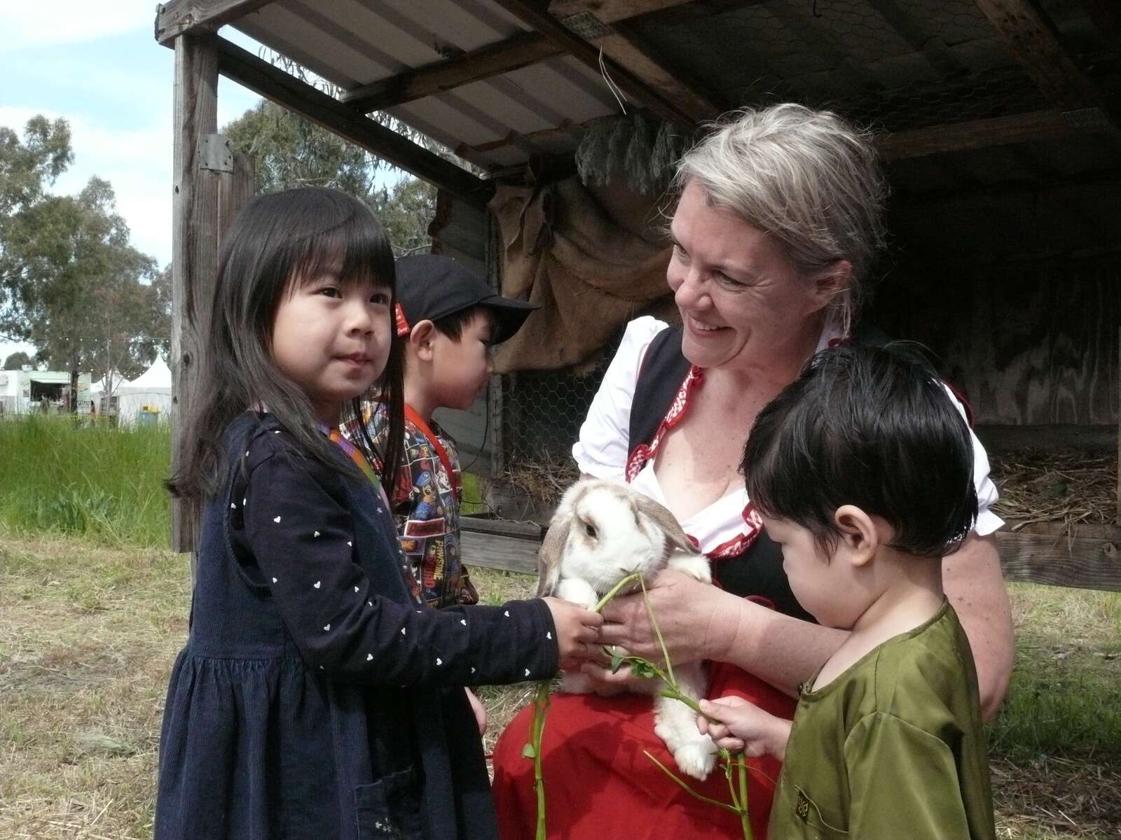 Multicultural fun at festival | Country News