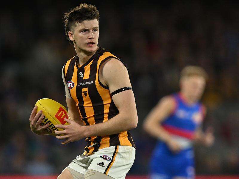 Lewis back to bolster Hawks' flagging forward line | Country News