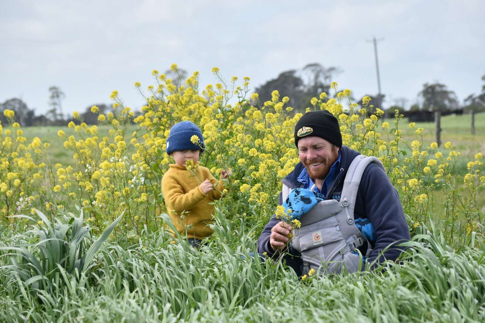 LandLife grants can help south-west farmers | Dairy News Australia