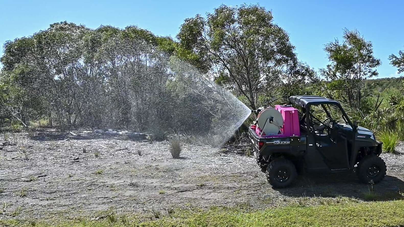 Why choose pink? | Benalla Ensign