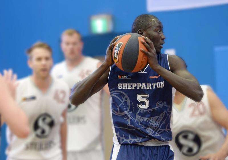Shepparton Gators welcome Whittlesea Pacers | Shepparton News