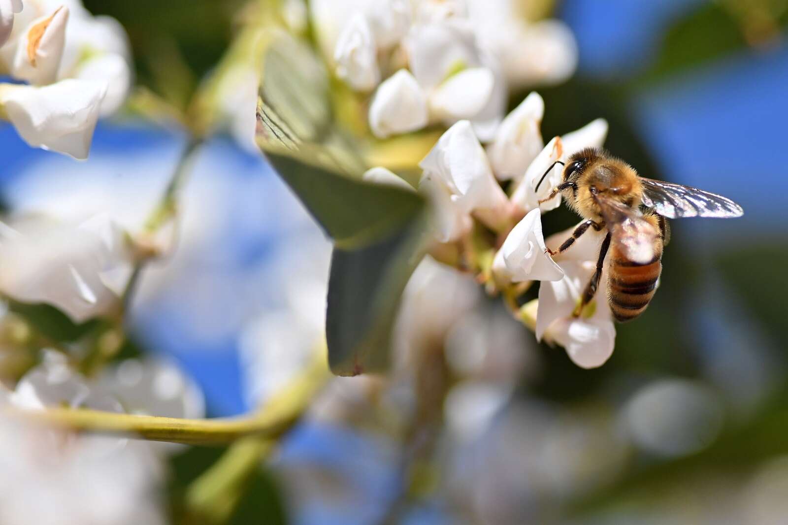 Monday weather | Shepparton forecast | Shepparton News