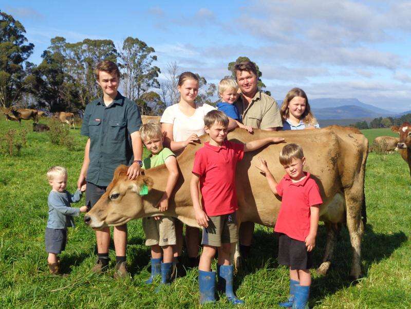 Farm growth an organic journey for Tasmania's Lambert family | Dairy ...