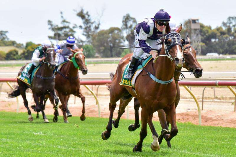 Echuca continues racing into spring | Shepparton News