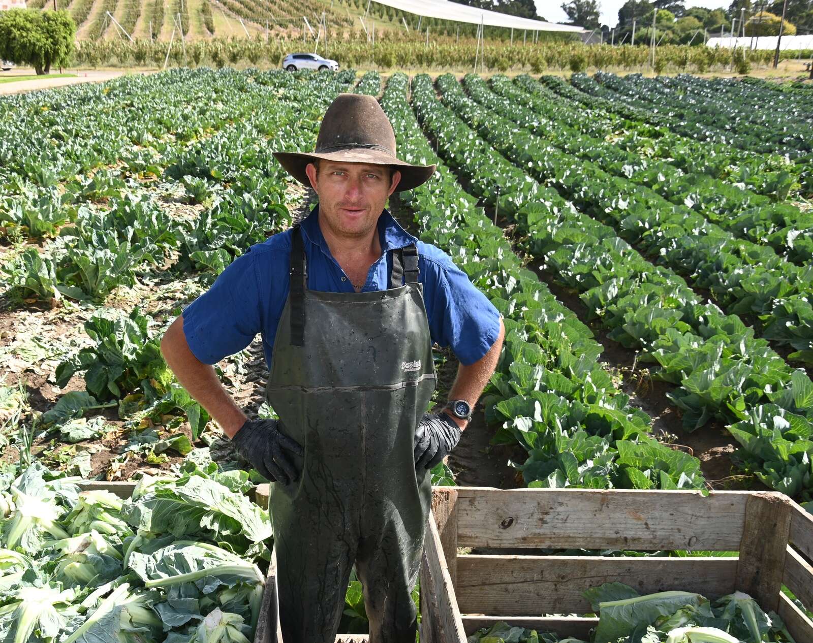 Finding their niche | Country News