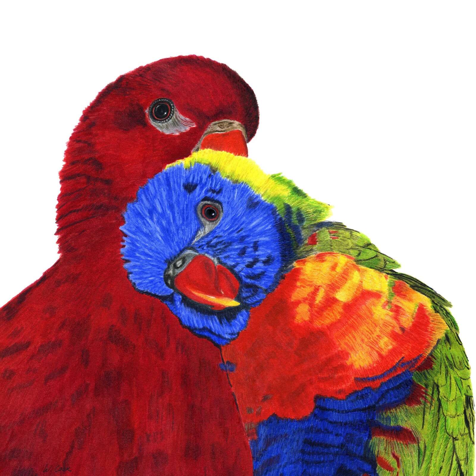 Wendy Cook’s works on display at latest Artbox | Seymour Telegraph