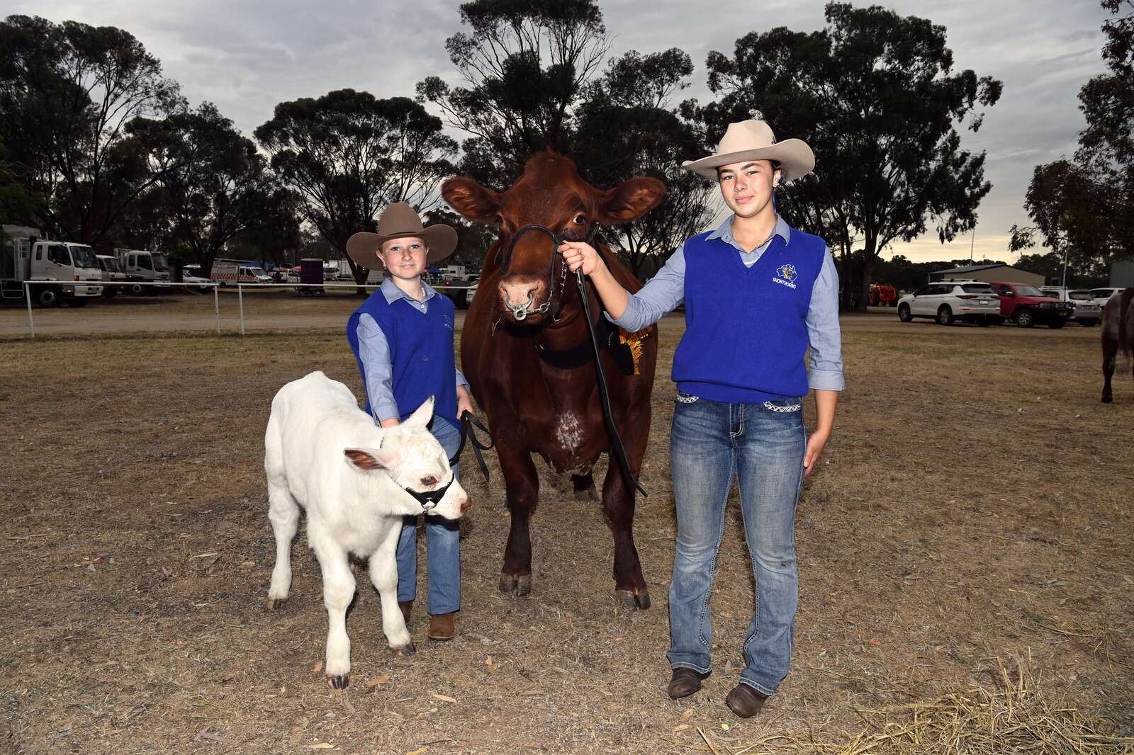 Plenty of Wow factor at the show | Seymour Telegraph
