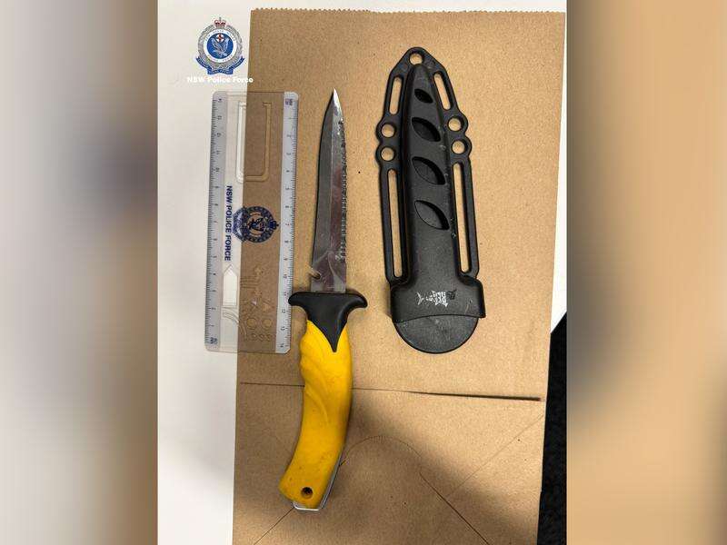 Wanding law to reveal 'scary' extent of knife crime | Country News