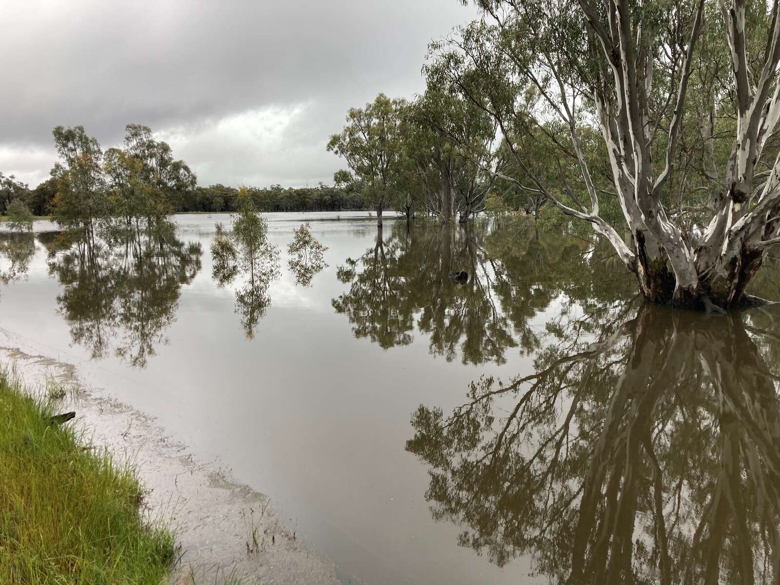 Floods still impact region | Shepparton News