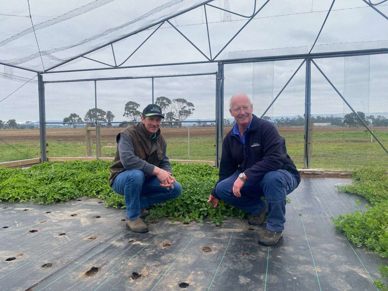 Two decades of plant breeding | Dairy News Australia