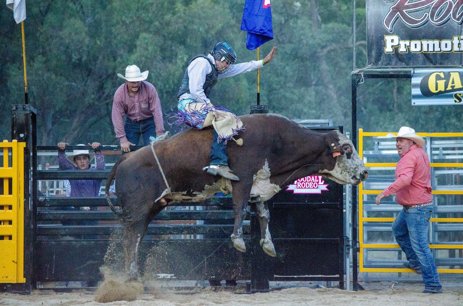 Record breaking show | Shepparton News