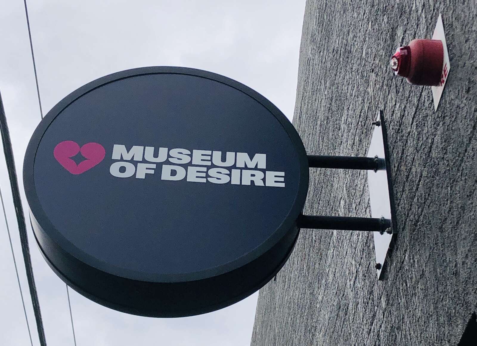 The Young and The Restless | Desire becomes art | Shepparton News