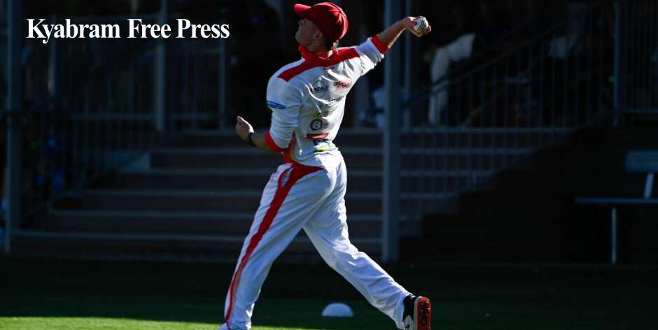 Fire Brigade red-hot in T20 competition | Kyabram Free Press