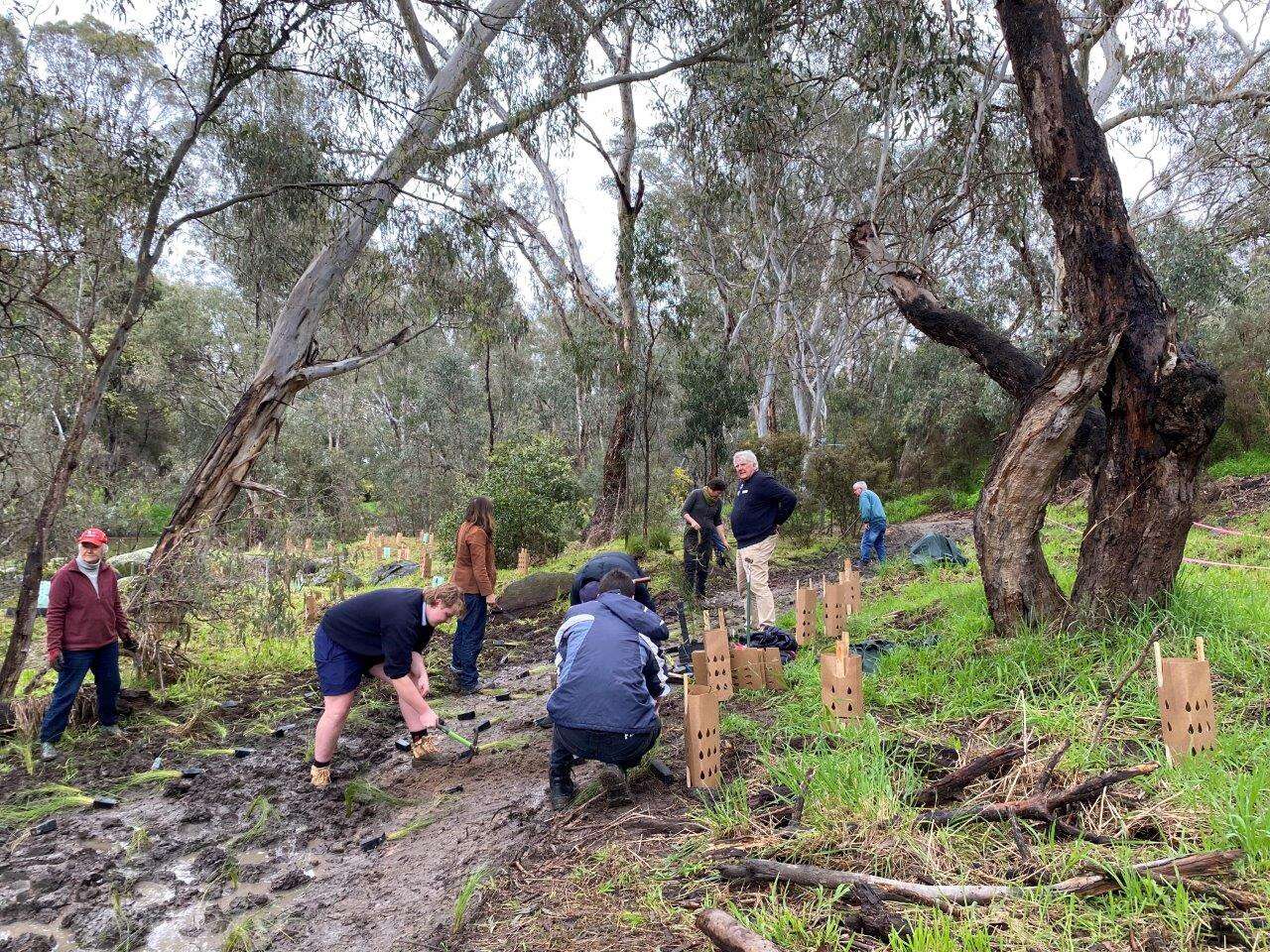 Apply now for Victorian Landcare Grants | Dairy News Australia