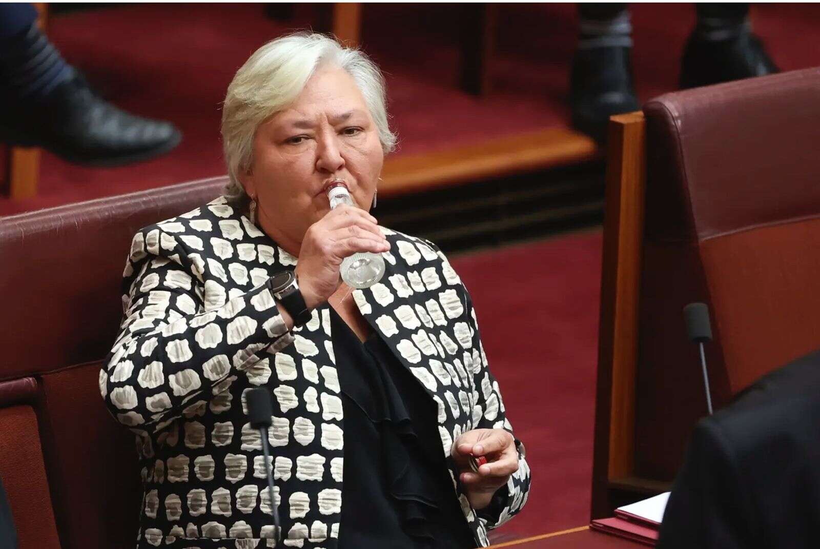 A pooch has got it, says Sam! | Country News