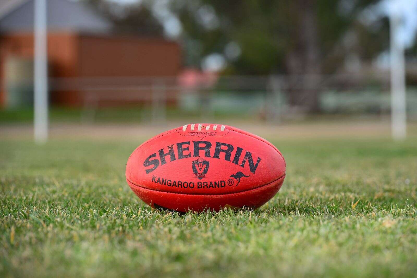 It’s game on this footy season | Campaspe News