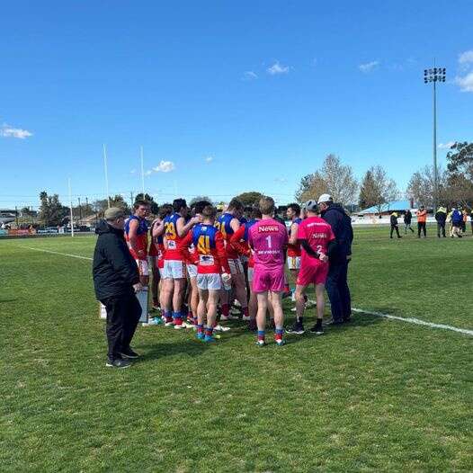 Tigers king of the jungle as Lions exit finals | Seymour Telegraph