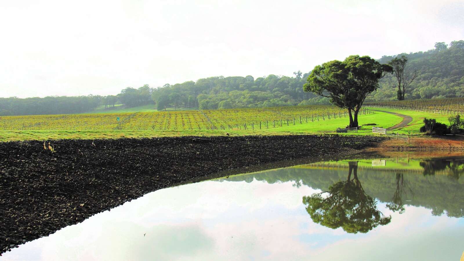 Farm dams hazard | Country News