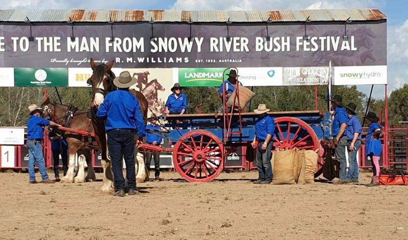 No horsing around for Kotupna team | Kyabram Free Press