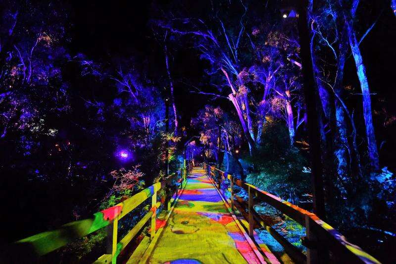 Moama Lights nominated for national award | Riverine Herald