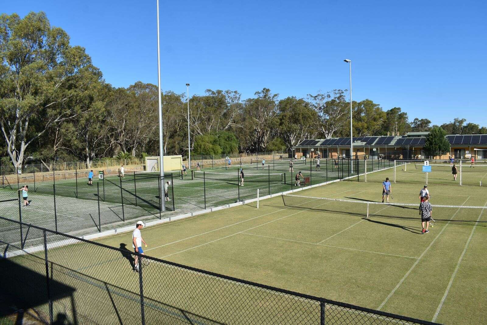 Peppin on top at halfway mark | Shepparton News