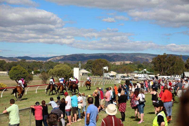 Racing towards cup meet | Shepparton News