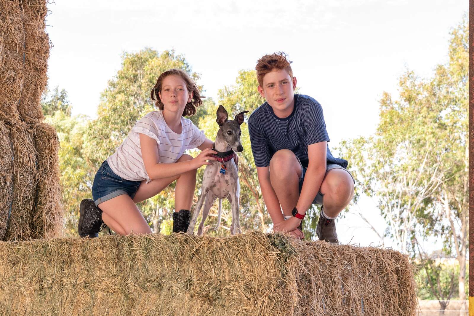 Colourful canine’s a corny character | Country News