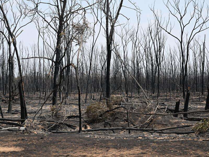Bushfire battles continue in Queensland | Country News