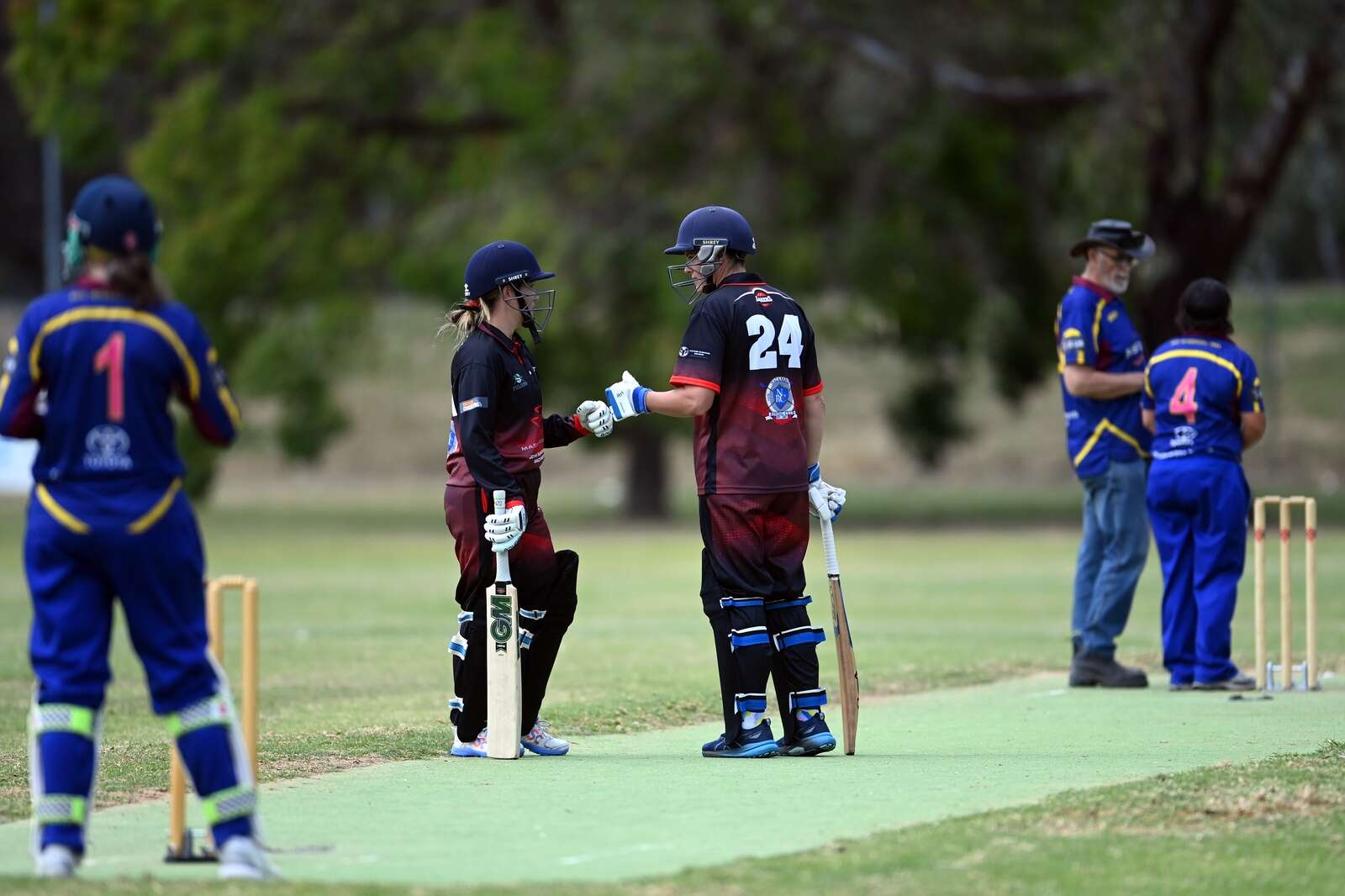 Gallery | Kayla Shepherd raised the bat for the third time in eight ...
