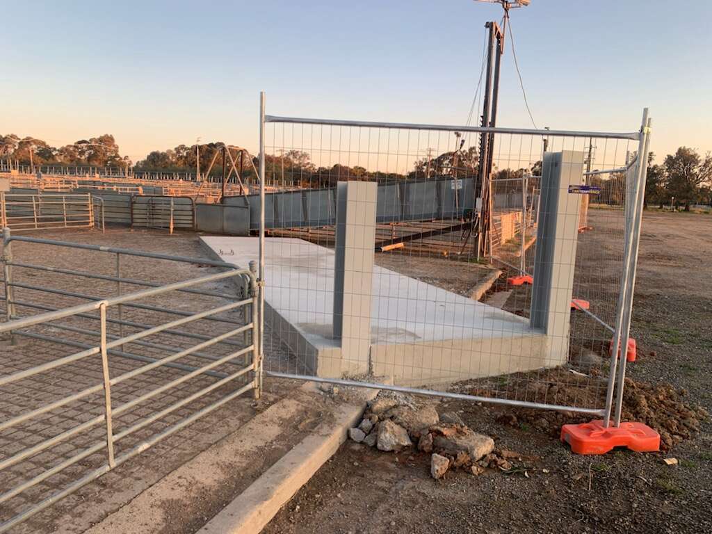 Finley’s forgotten fourth sheep ramp | Country News