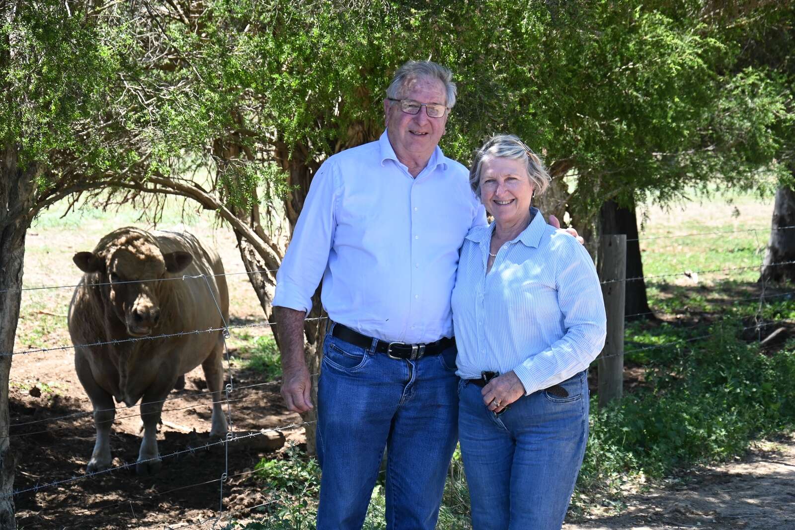 Beef grow bigger and better | Country News