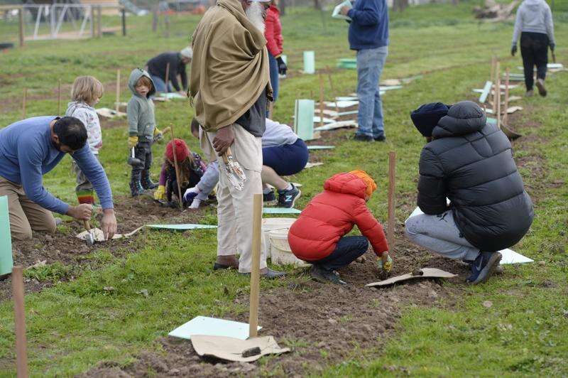 Join Benalla’s tree-planting day: Free trees, games and a Barbecue ...