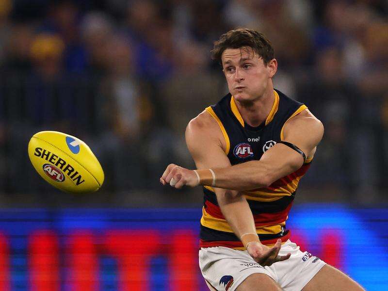 Crows' Crouch faces one-game ban for front-on conduct | Dairy News ...