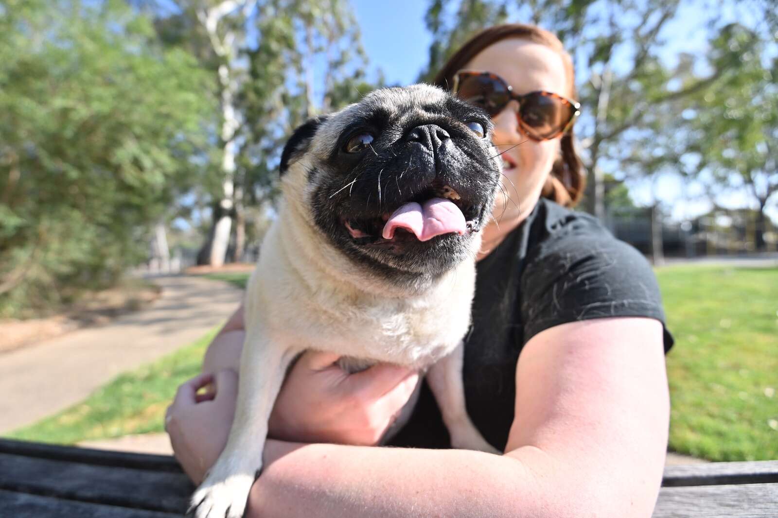 Meaghan’s amazing dog | Shepparton News