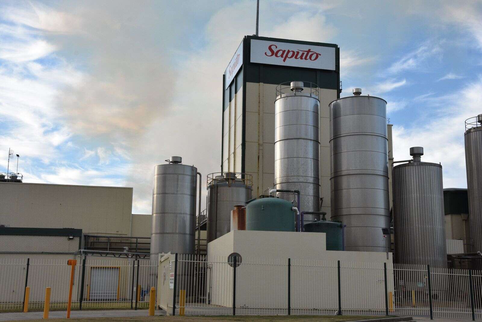 Christmas comes early for Saputo suppliers | Dairy News Australia
