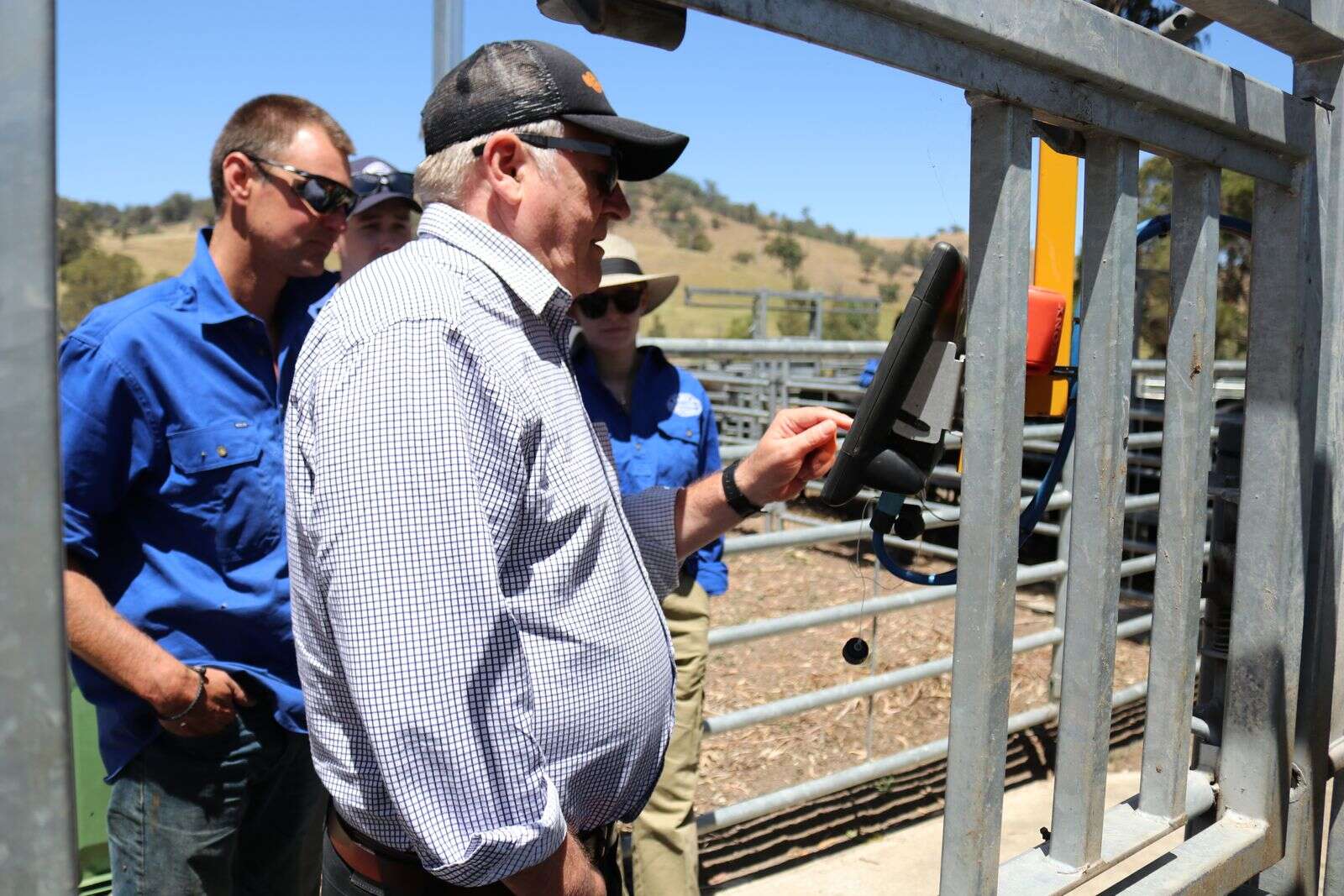 Track animal performance with Gallagher | Country News