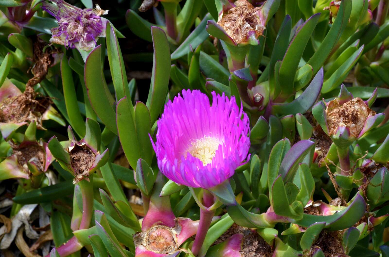 Saturday bulletin | Weather and where to find us | Shepparton News