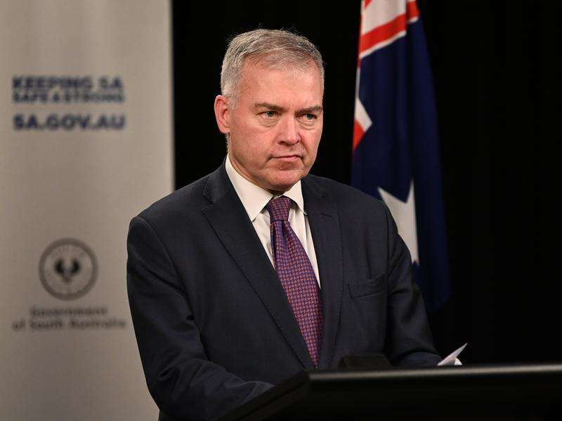 Former SA Liberal minister quits politics | Country News