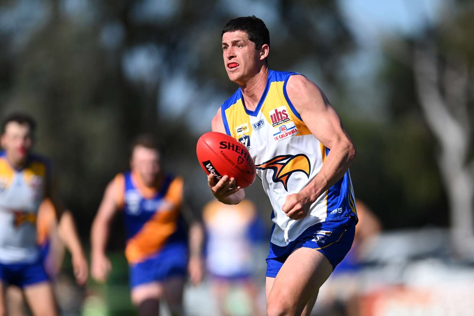 Eagles fly into grand final after Tally comeback | Seymour Telegraph